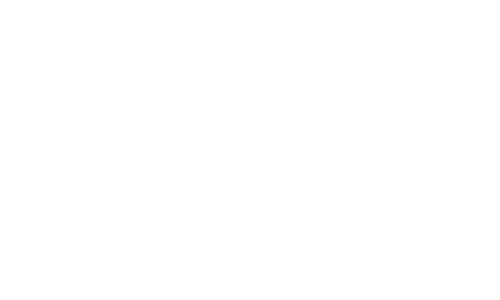 ANNUAL & IMPACT REPORTS - Jewish Council for Public Affairs
